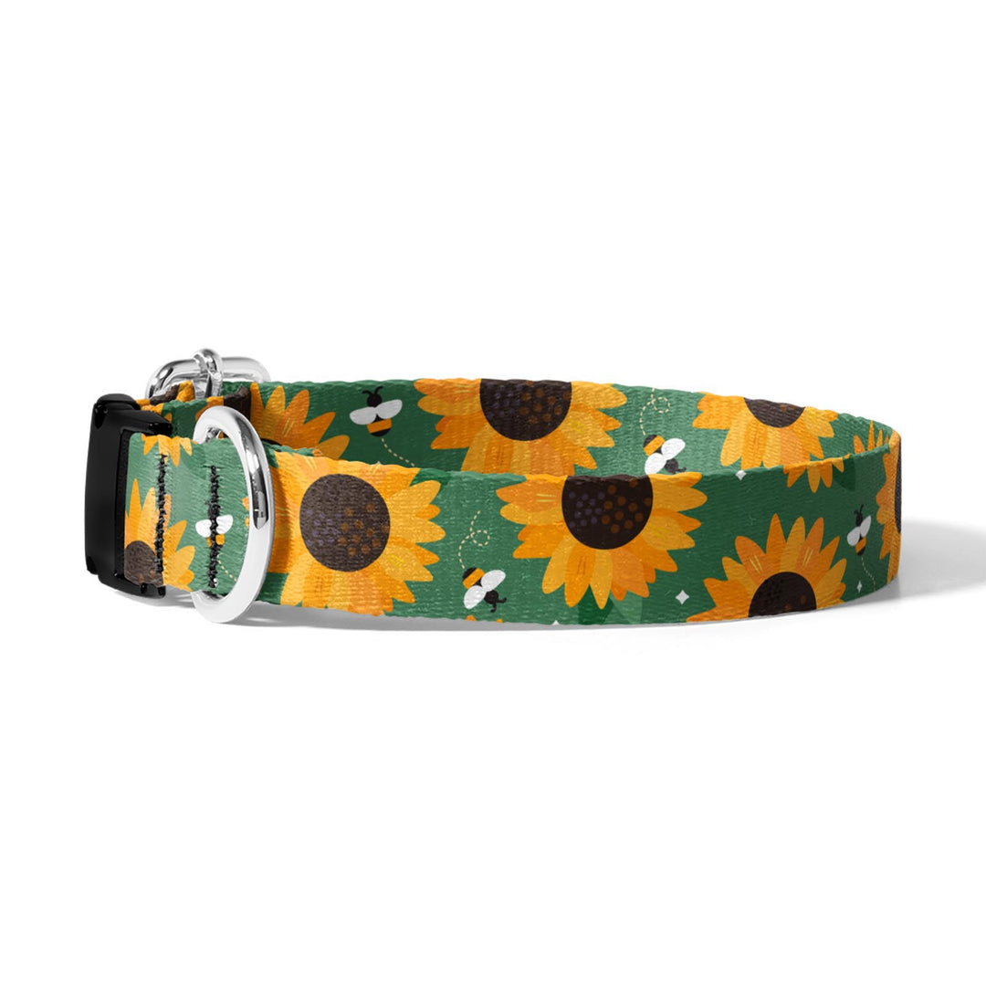 Dog Collars | Clive & Bacon | Custom Dog Accessories – Clive and Bacon