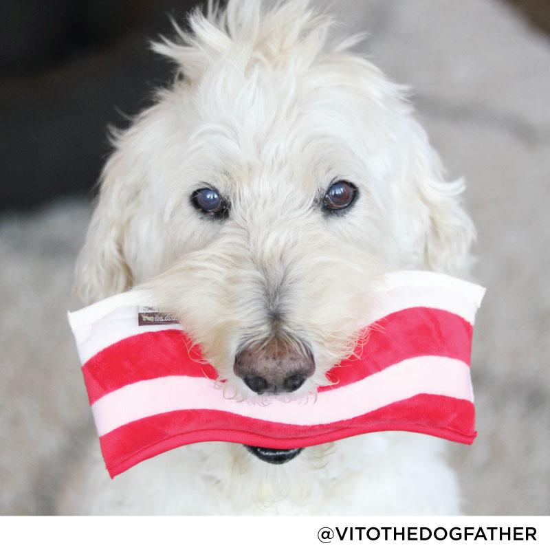 Crispy Bacon Plush Toy – Clive and Bacon