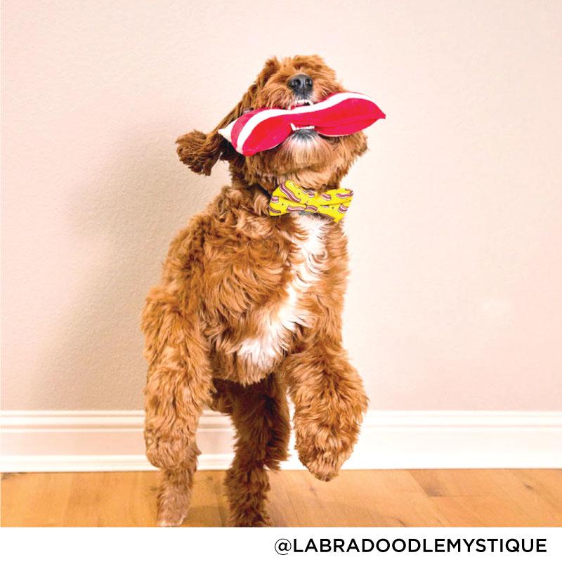 Crispy Bacon Plush Toy – Clive and Bacon