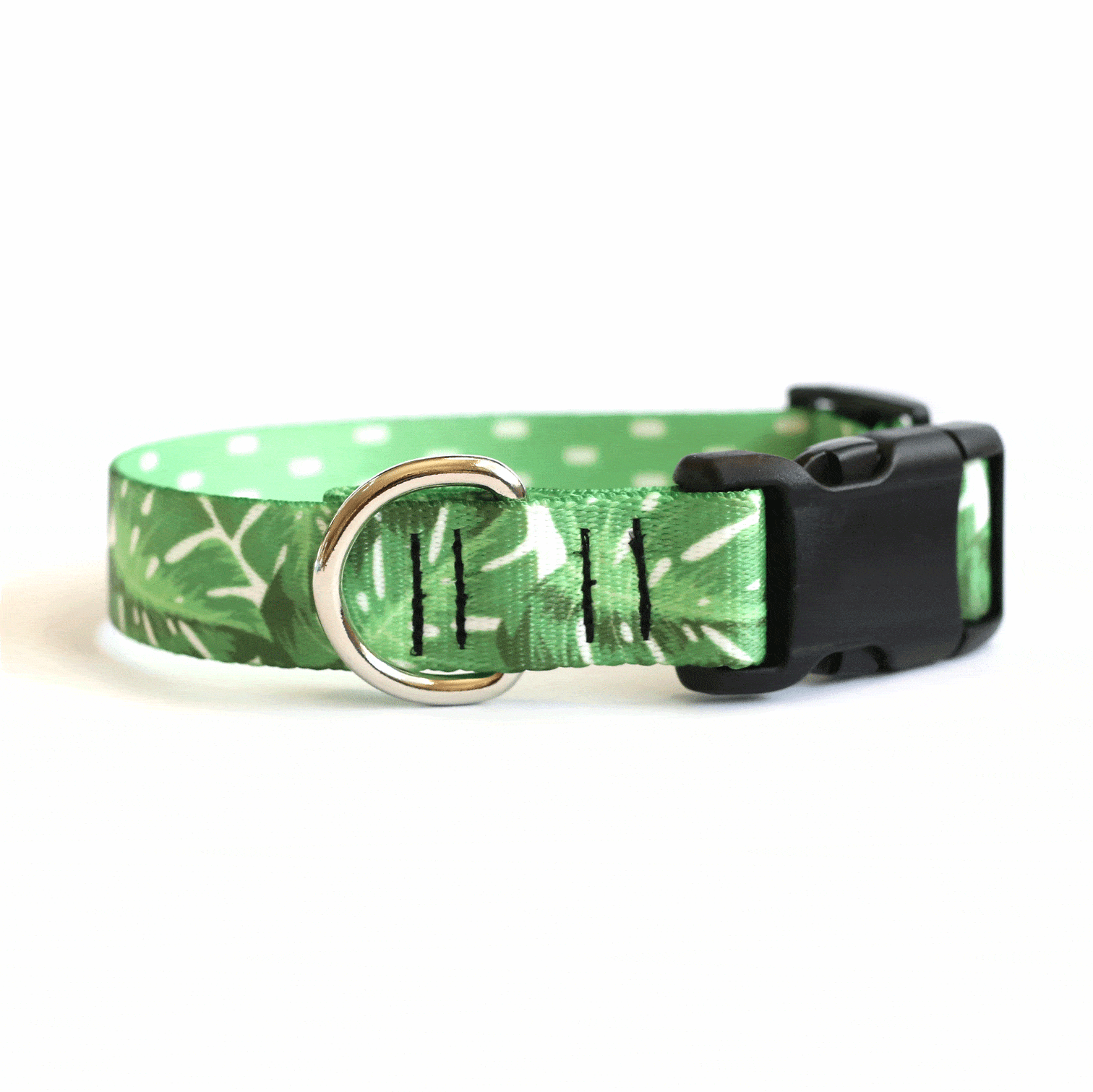 Dog Collars | Clive & Bacon | Custom Dog Accessories – Clive and Bacon