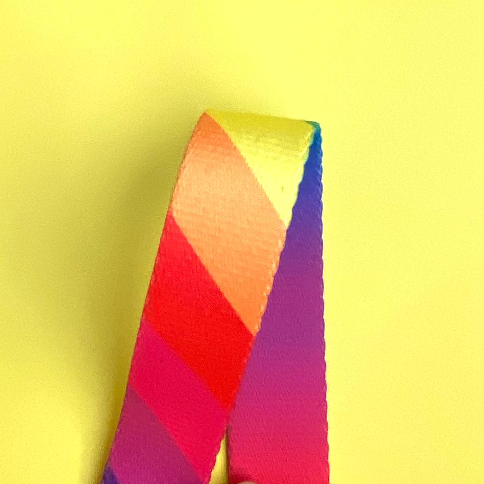 Rainbow Dog Leash – Clive and Bacon