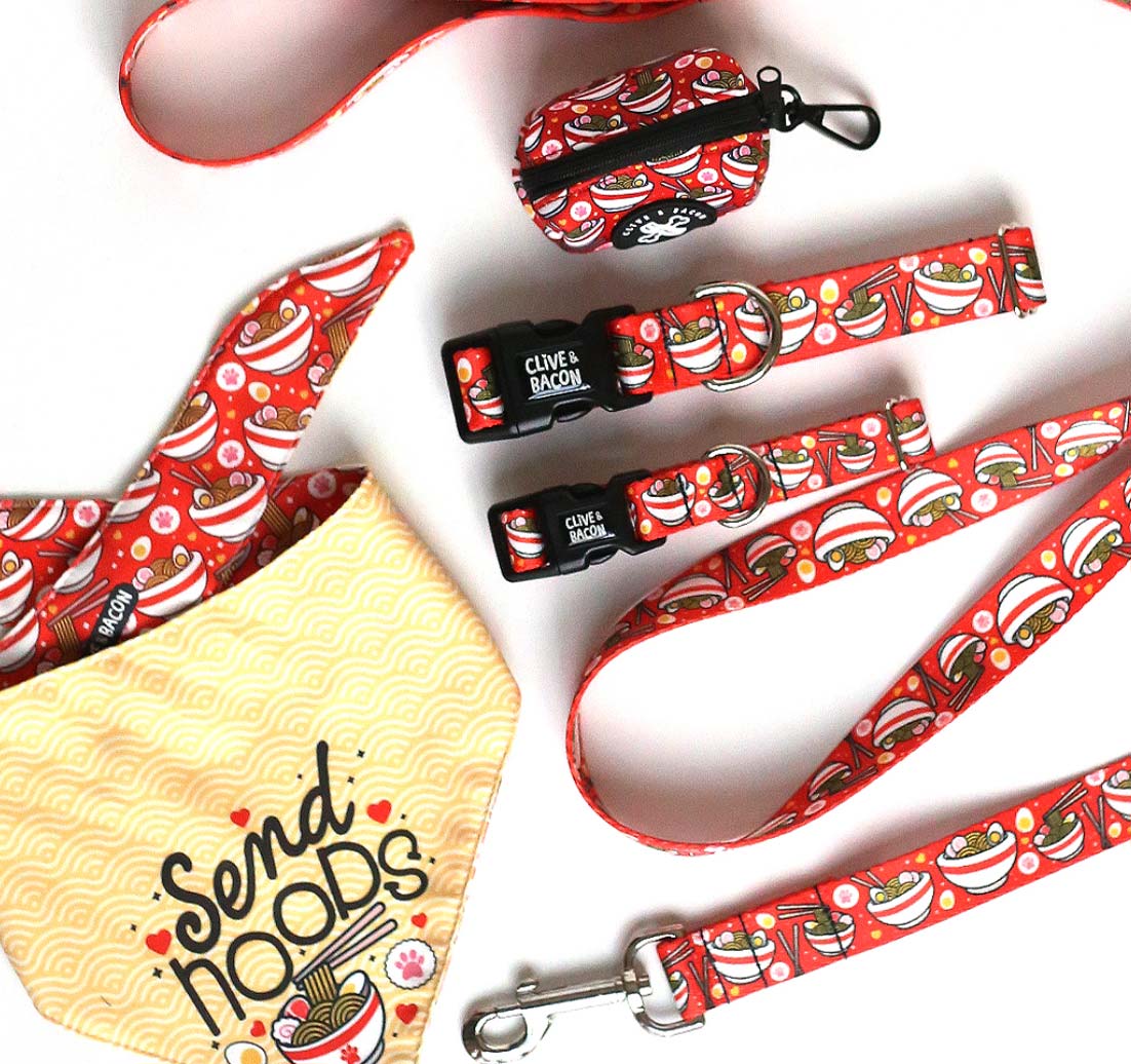 Bumblebee Dog Leash | Clive and Bacon