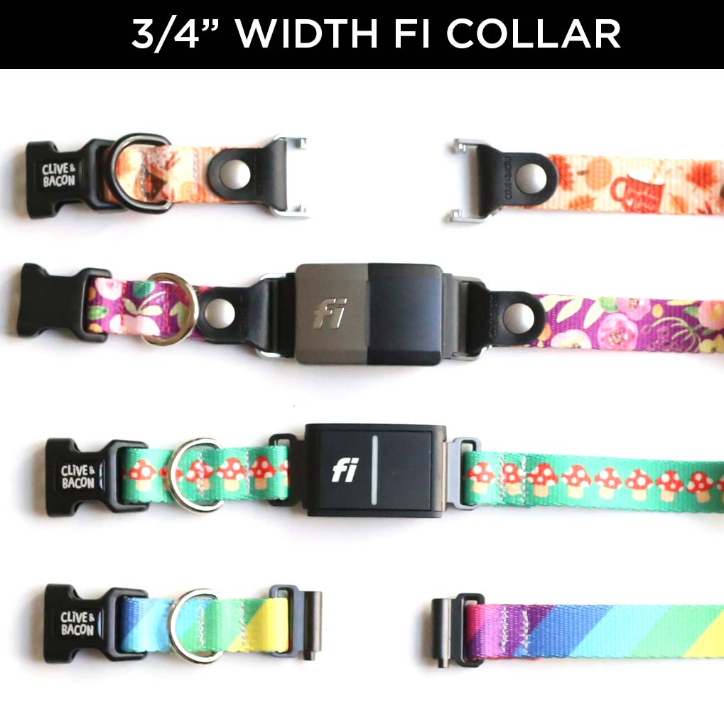 Fi Compatible Dog Collar | Clive and Bacon Custom Dog Accessories